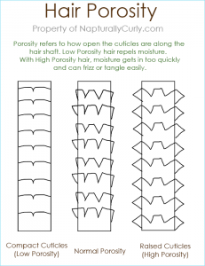 Hair Porosity Test for Natural Hair